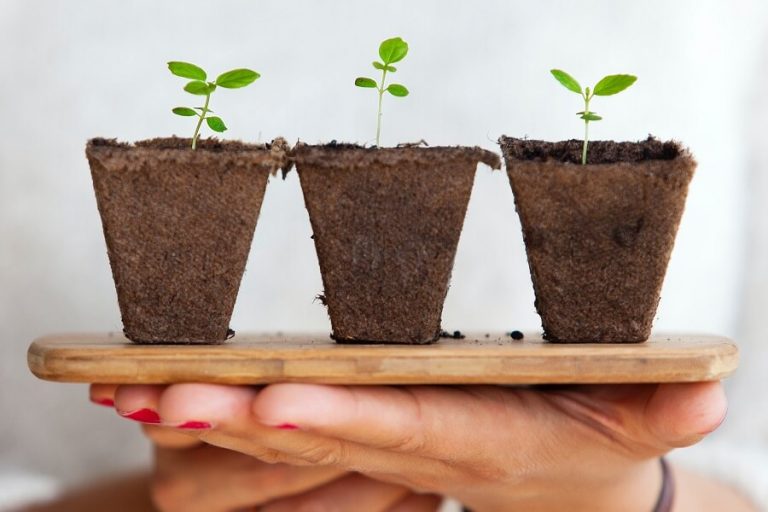 Interacting with MongoDB using C# - Jonathan Crozier